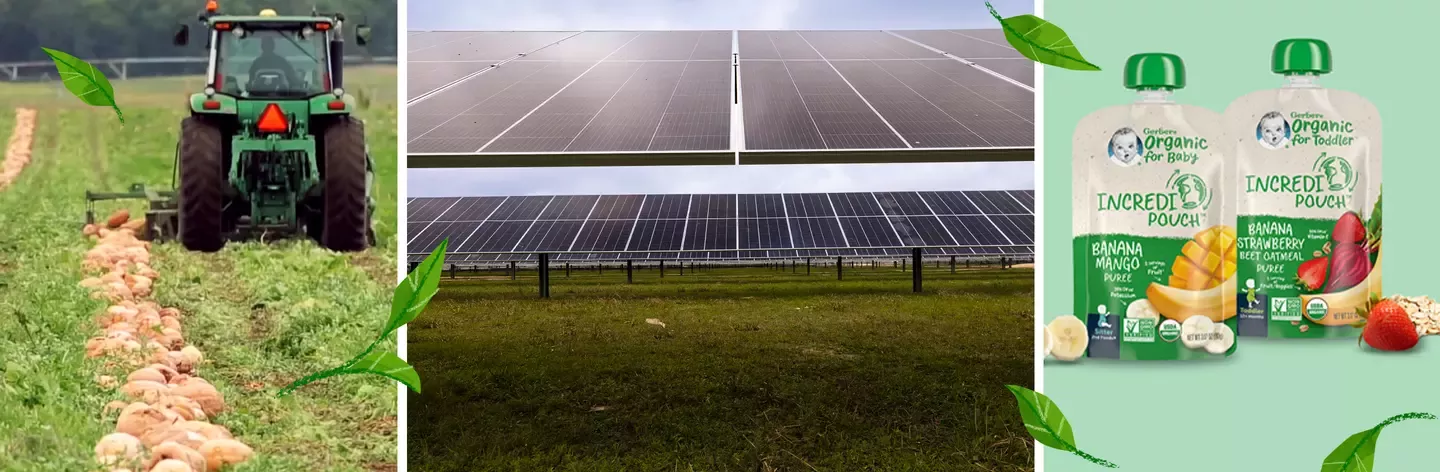Nestlé's Climate Action Progress | Nestlé USA